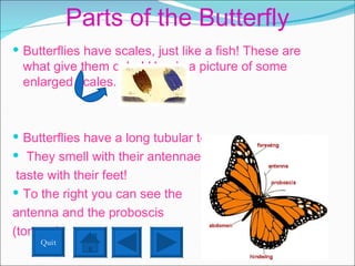 Butterflies Interactive Powerpoint | PPT | Geography | Science