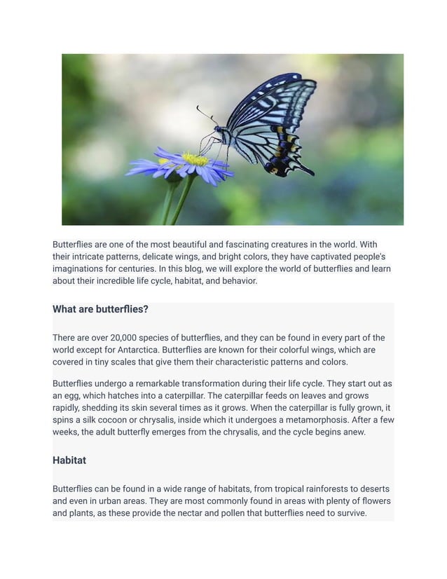 Butterflies are one of the most beautiful and fascinating creatures in ...