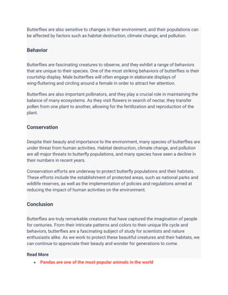 Butterflies are one of the most beautiful and fascinating creatures in ...