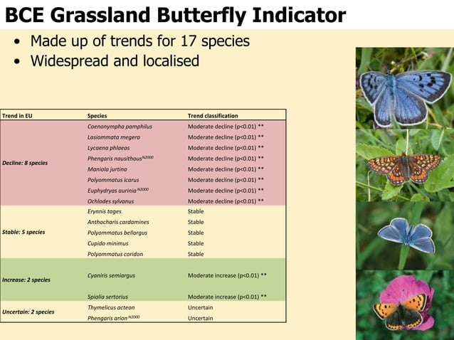 Butterflies as indicators | PPT