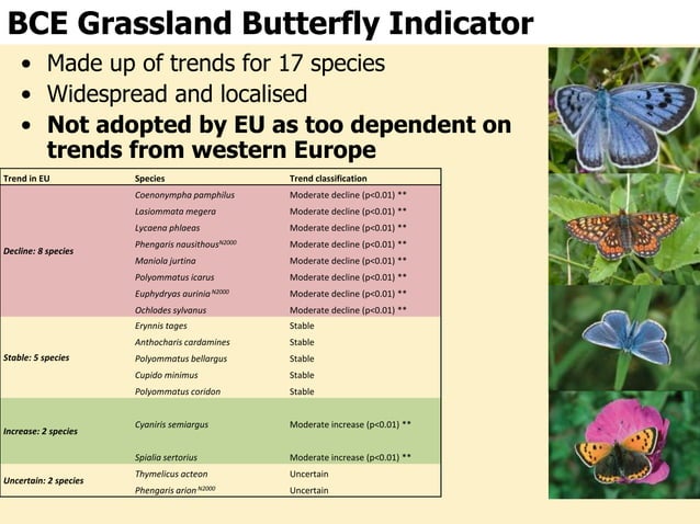 Butterflies as indicators | PPT