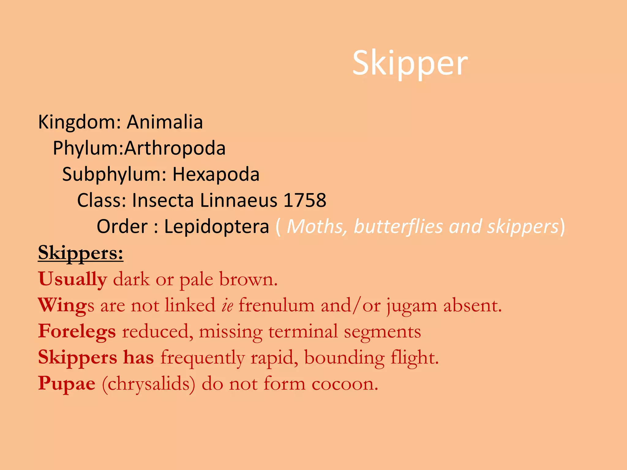 Butterflies of UBKV,West Bengal, India | PPTX