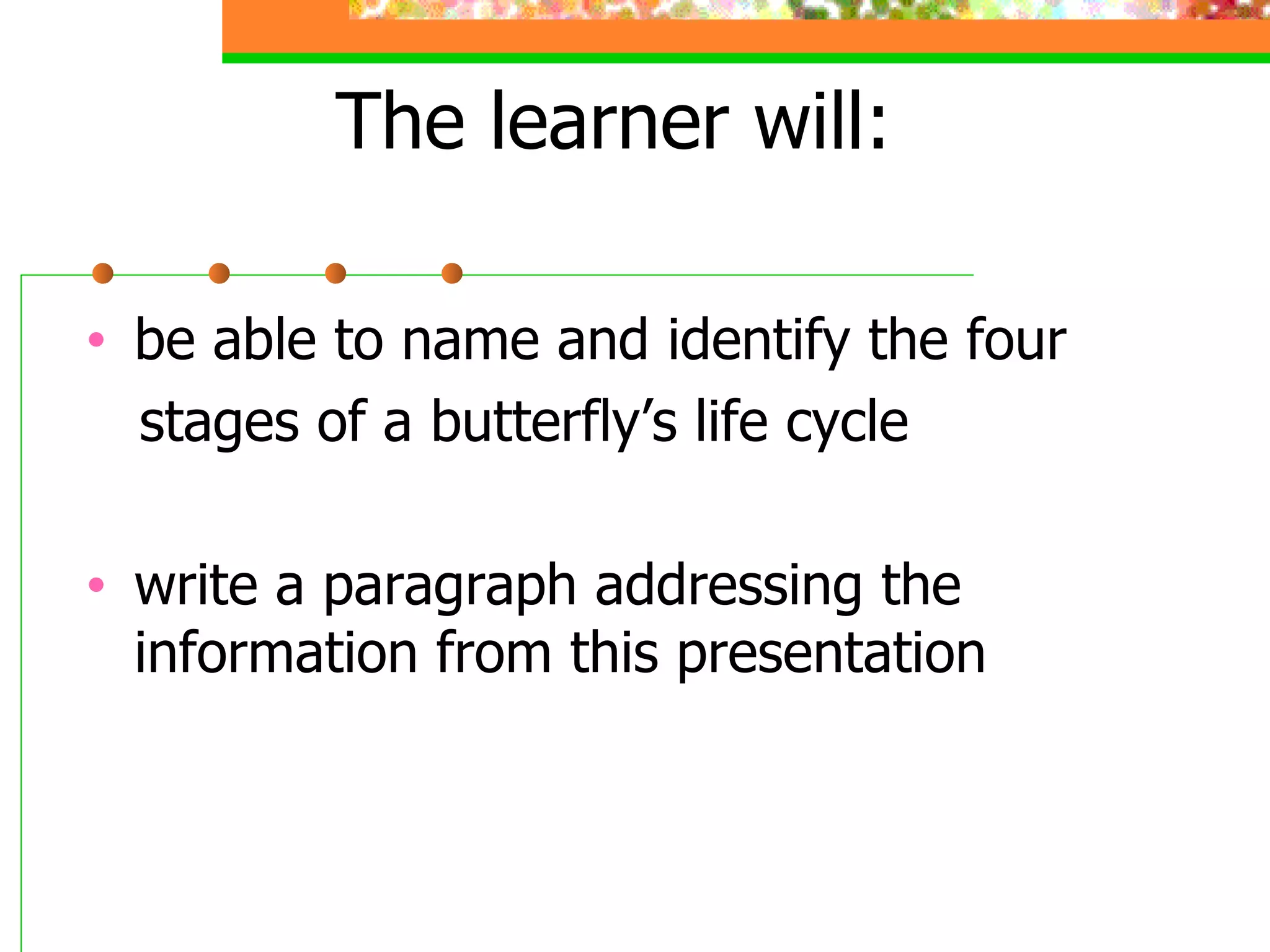 Butterfly 1 | PPT