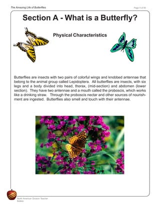 Butterfly | PDF | Birdwatching | Hobbies & Interests