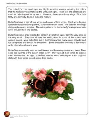Butterfly | PDF
