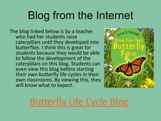 Butterfly | PPT