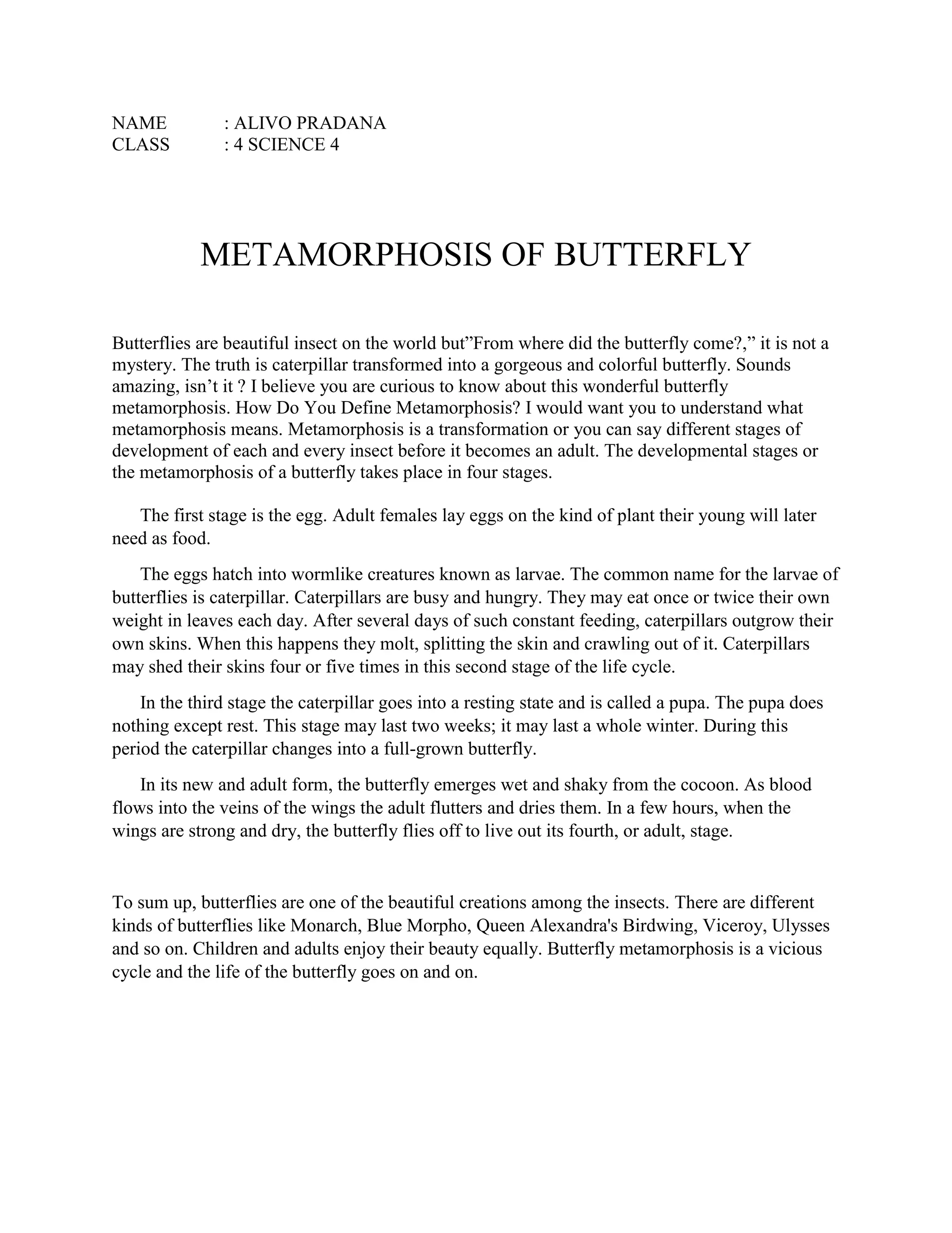 Butterfly | DOCX