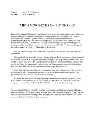 Butterfly | DOCX