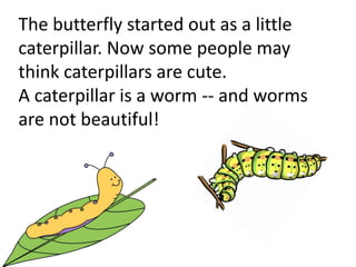 Butterfly | PPTX