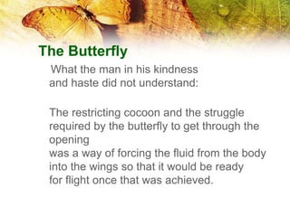 Butterfly | PPT