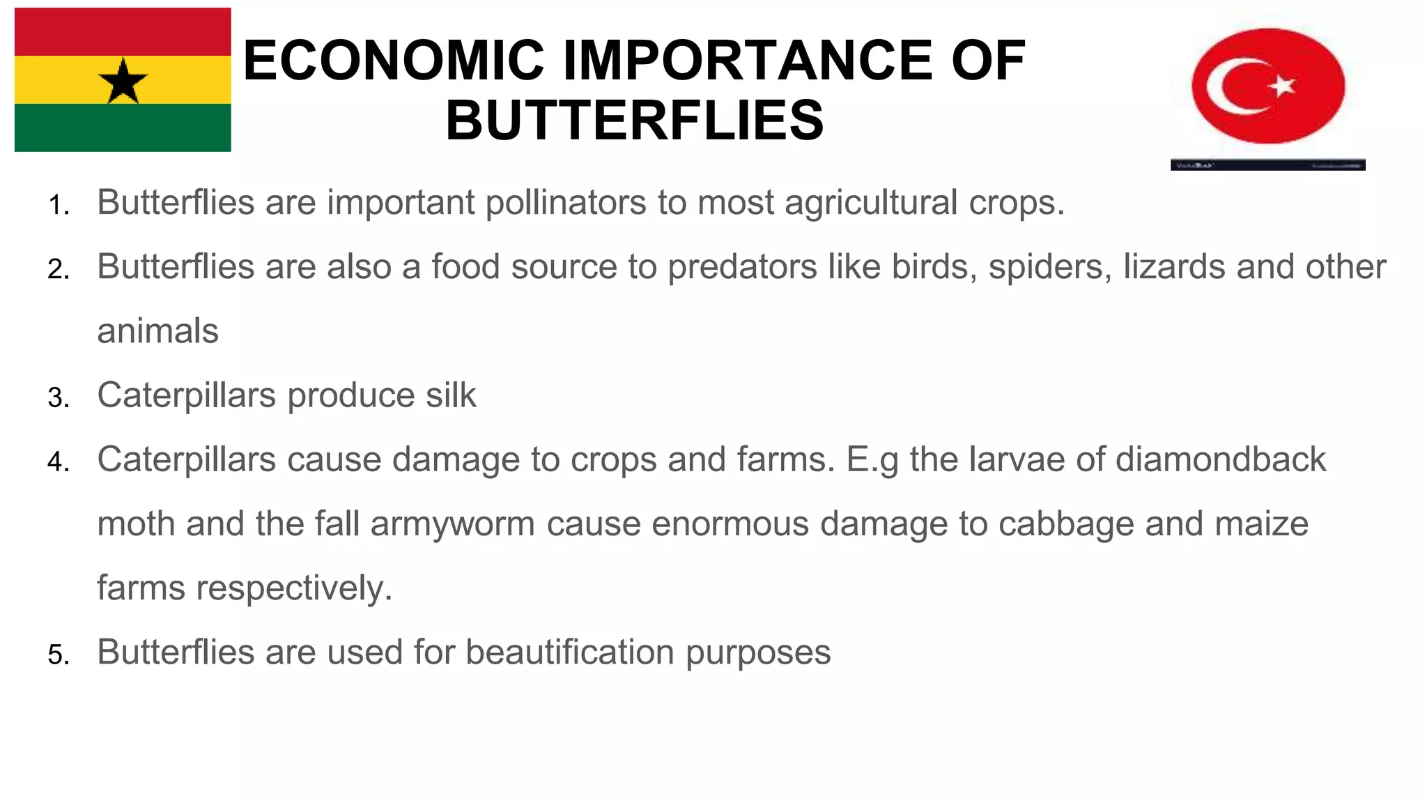 LIFE PROCESSES IN A BUTTERFLY | PPTX