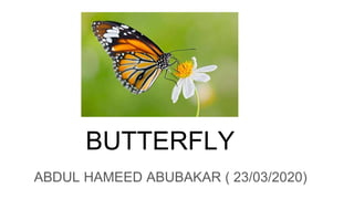 LIFE PROCESSES IN A BUTTERFLY | PPTX