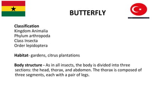 LIFE PROCESSES IN A BUTTERFLY | PPT