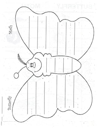 Butterfly moth venn diagram | PDF