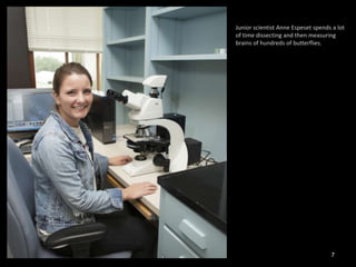 Wings of change | PPTX