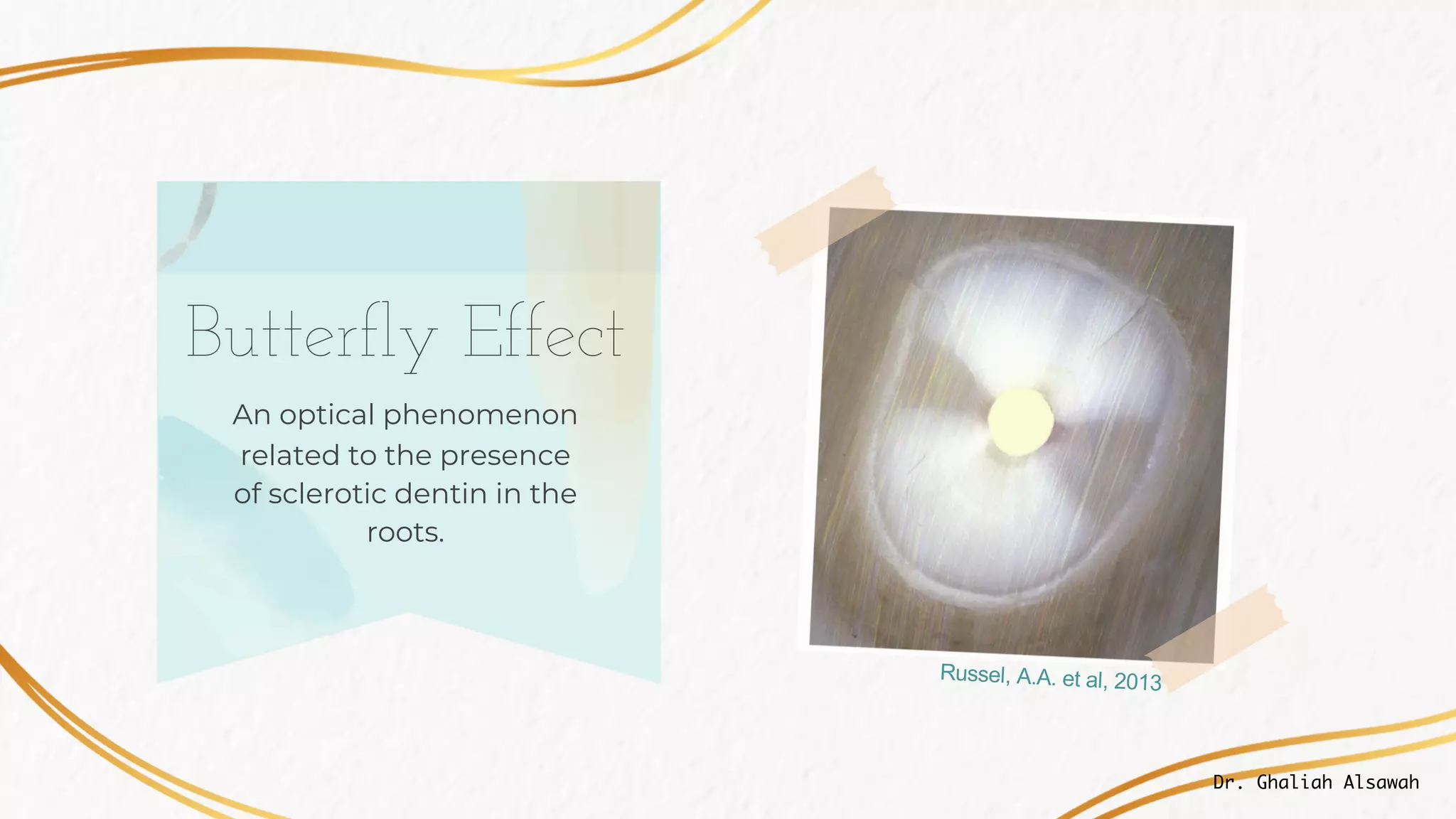Butterfly effect | PPT
