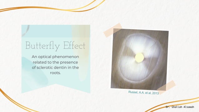 Butterfly effect | PPT