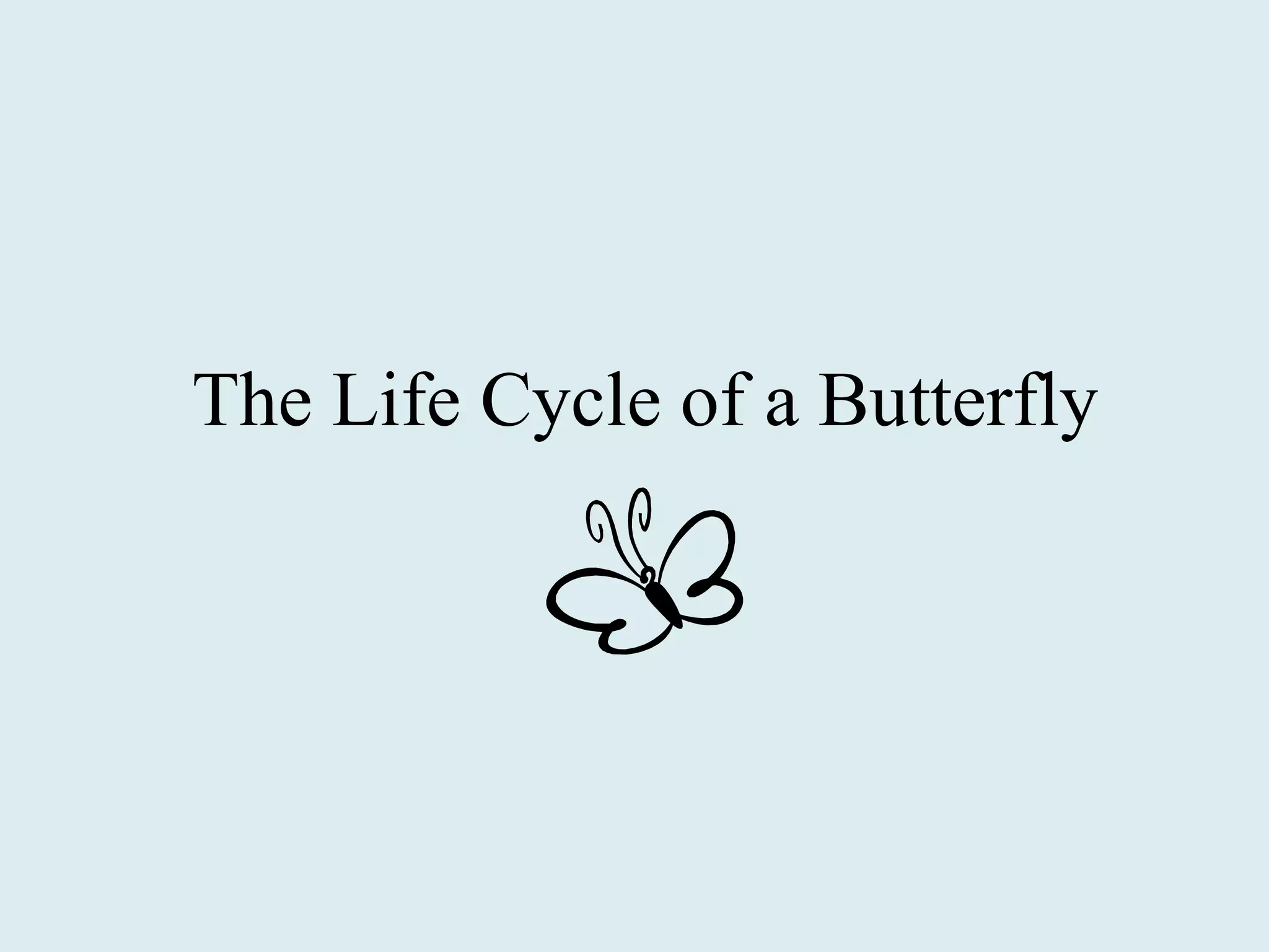 Butterfly life cycle | PPT