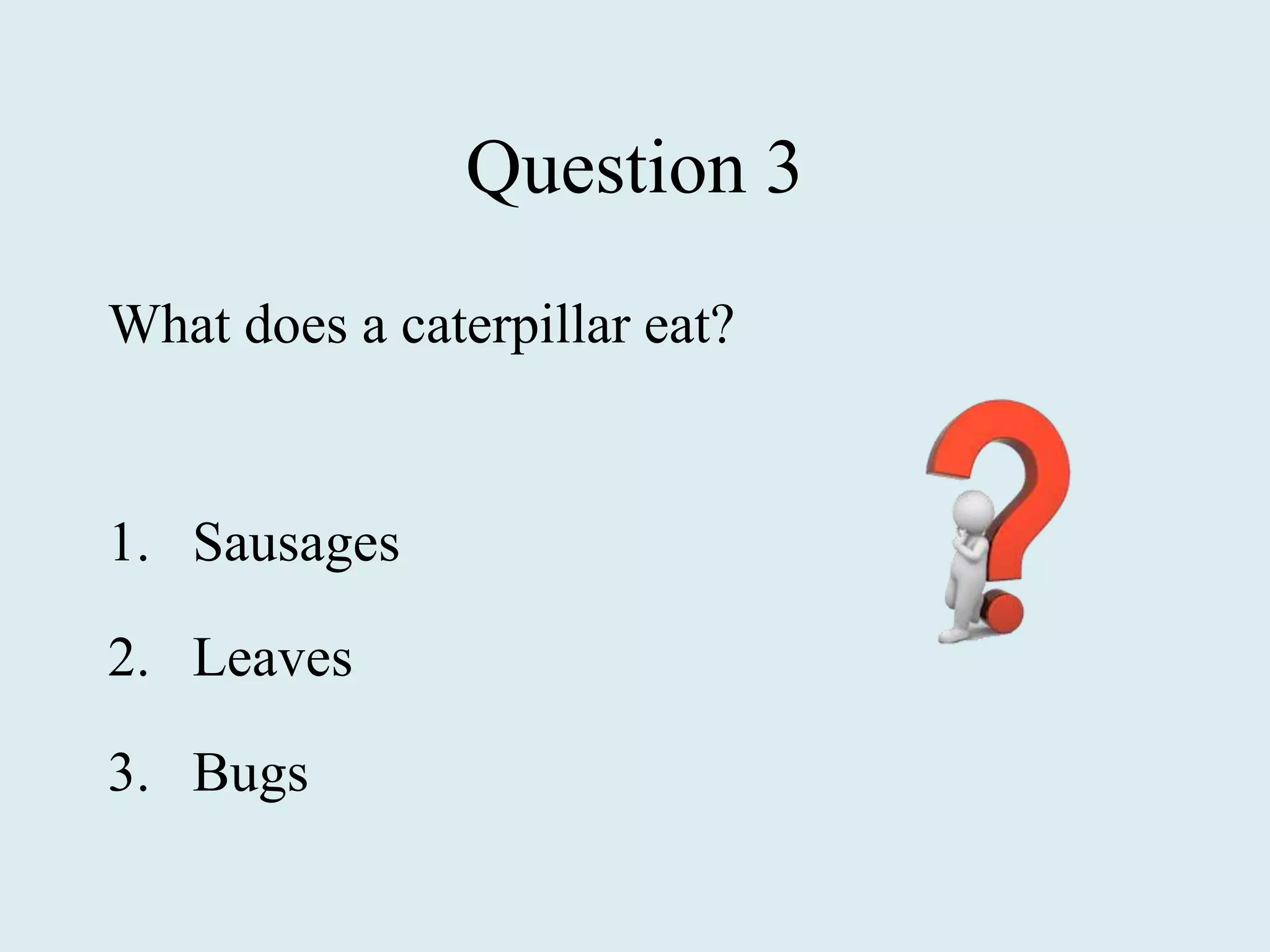Butterfly life cycle | PPT