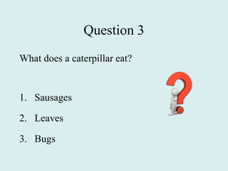Butterfly life cycle | PPT