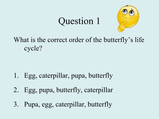 Butterfly life cycle | PPT