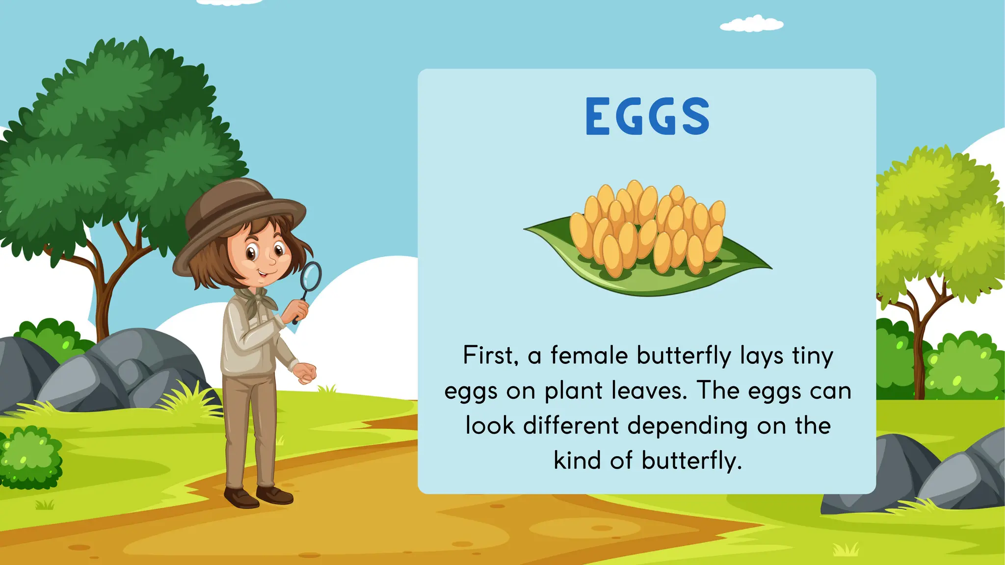Butterfly Life Cycle Video in Blue Cartoon Illustrated Style.pdf