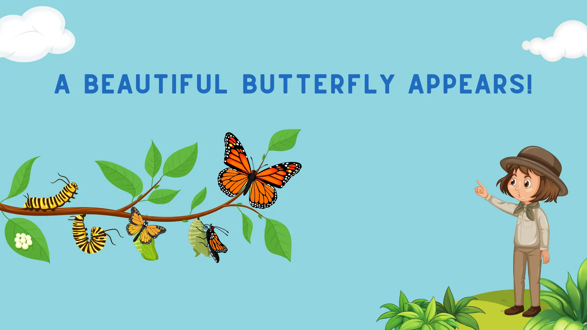 Butterfly Life Cycle Video in Blue Cartoon Illustrated Style.pdf