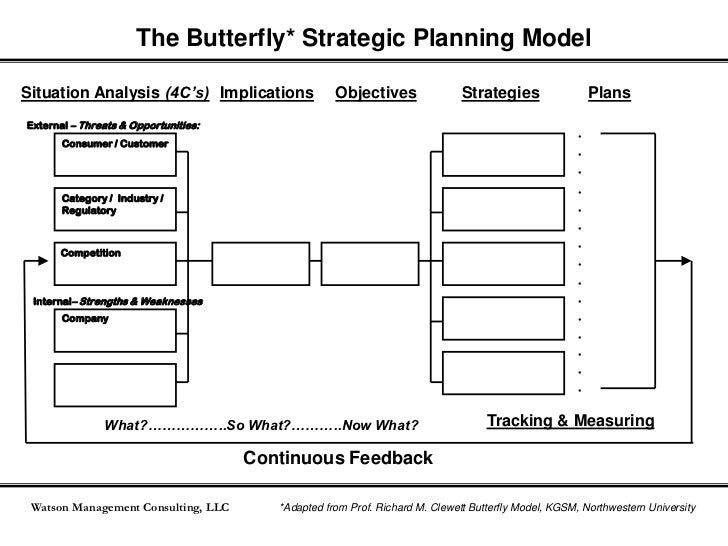 Butterfly Model Adapted