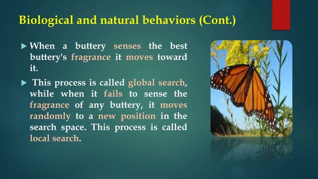 Butterfly optimization algorithm | PPT Butterfly optimization algorithm | PPT