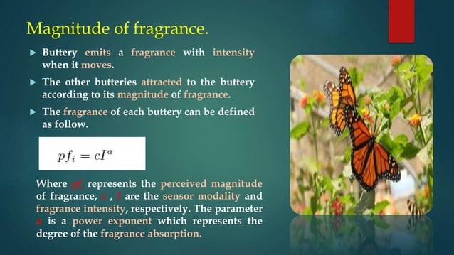 Butterfly optimization algorithm | PPTX | Perfume and Fragrance | Beauty