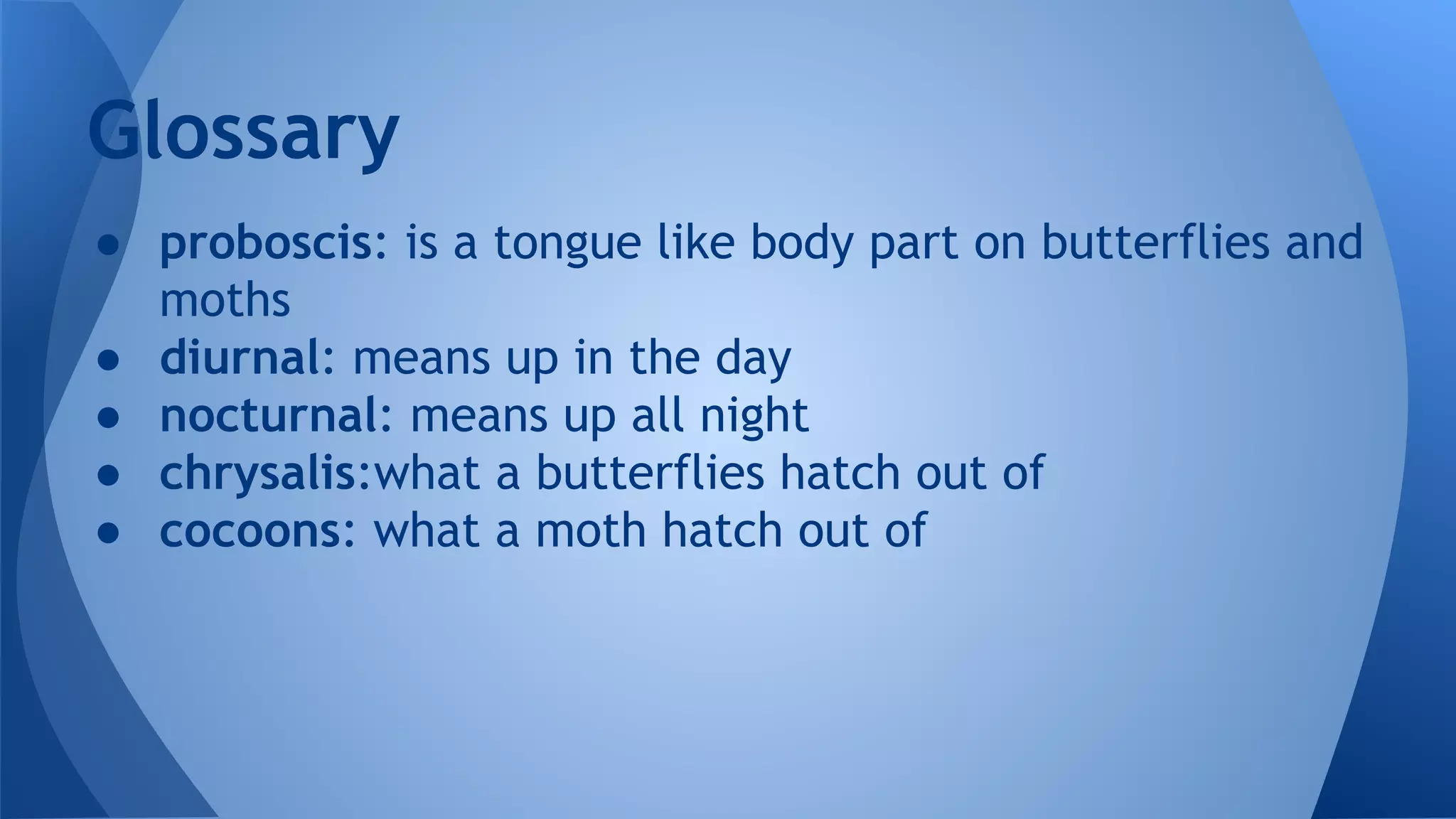 Butterfly or moth! | PDF