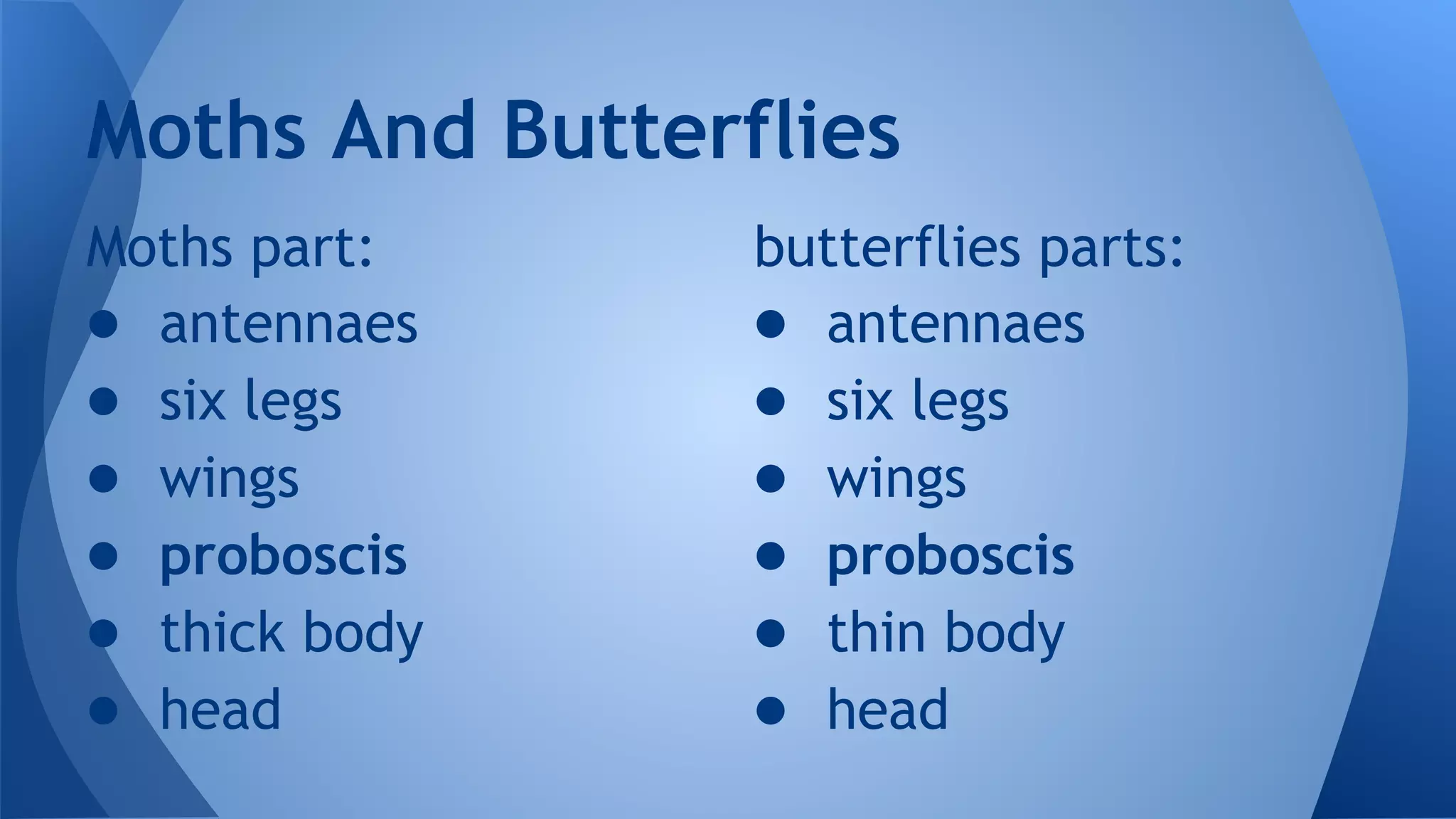 Butterfly or moth! | PDF
