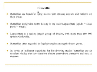 Butterfly_sameer_29dec2006.ppt............... | PPT