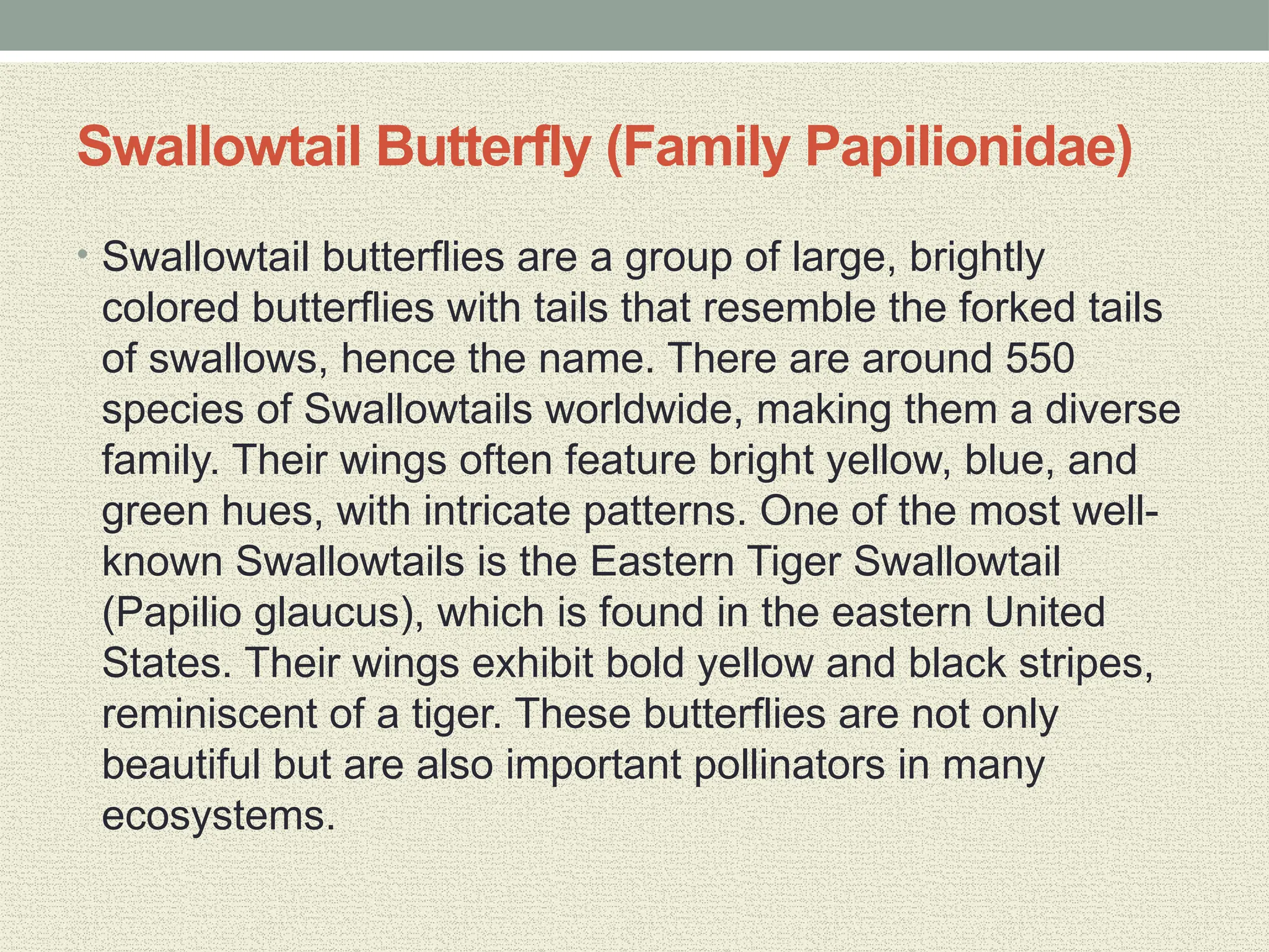 Butterfly Types A Fascinating World of Color and Diversity.pptx