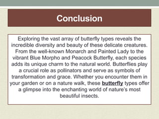 Butterfly Types A Fascinating World of Color and Diversity.pptx