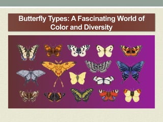 Butterfly Types A Fascinating World of Color and Diversity.pptx