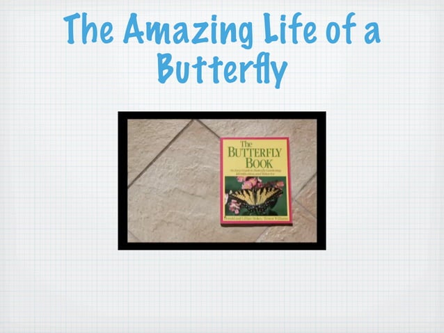 HM Grade 1 - Theme 8.1 Butterfly Vocabulary | PPT
