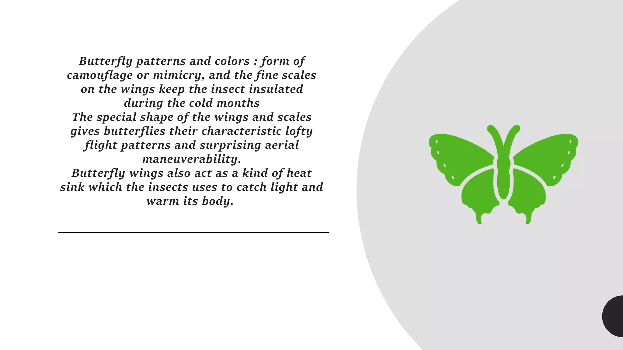 Butterfly wings inspire new research.pptx