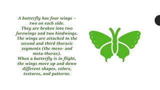 Butterfly wings inspire new research.pptx