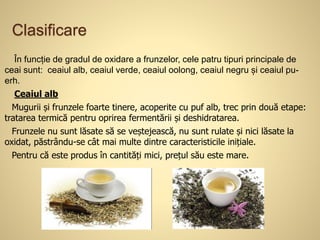 Băuturi gustative - ceai și cafea | PPT