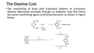 Butyl and halobutyl rubber lecture 11 | PPTX