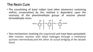 Butyl and halobutyl rubber lecture 11 | PPTX
