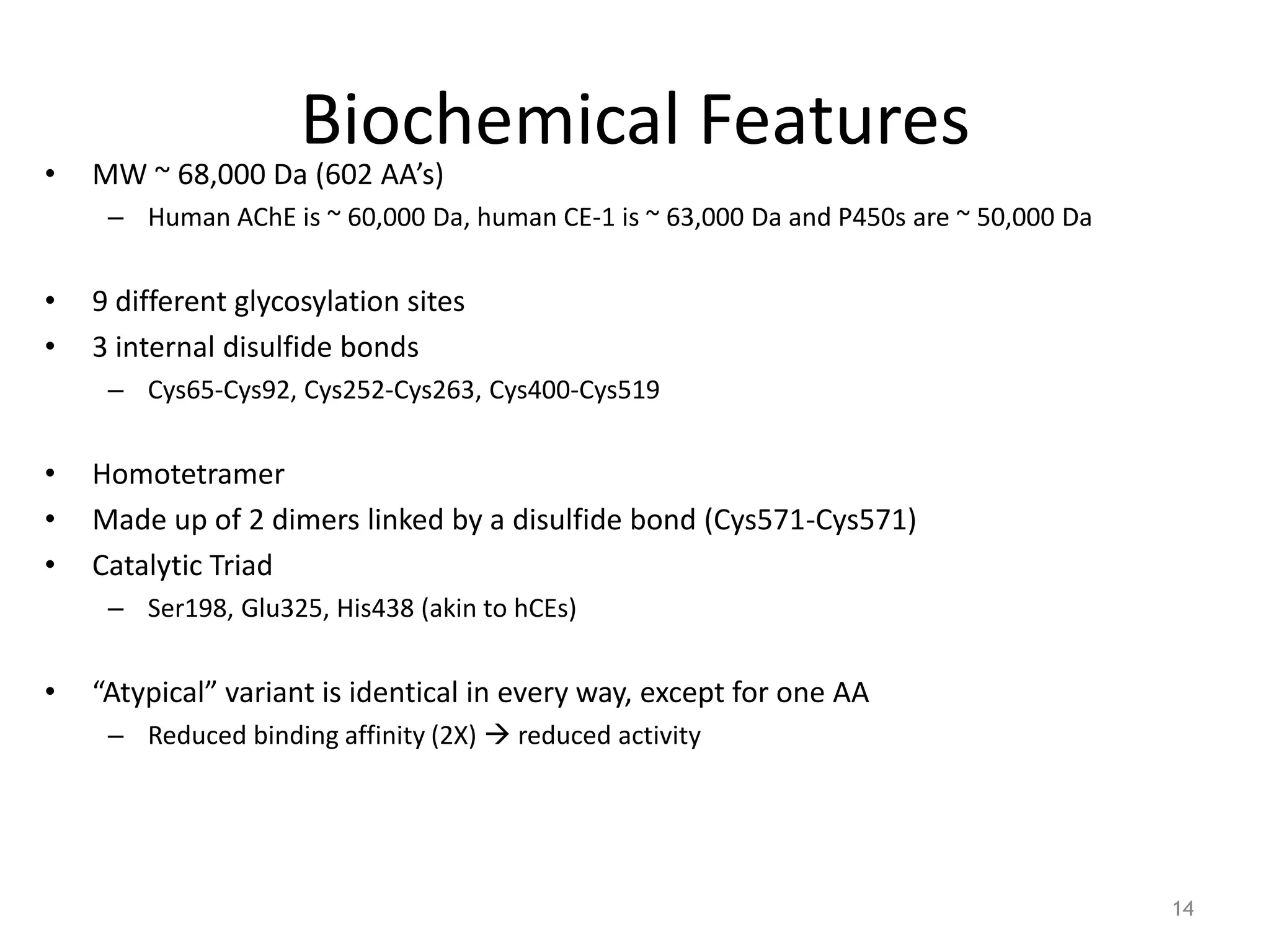 Butyrylcholinesterase Overview: Substrates Inhibitors Structure ...
