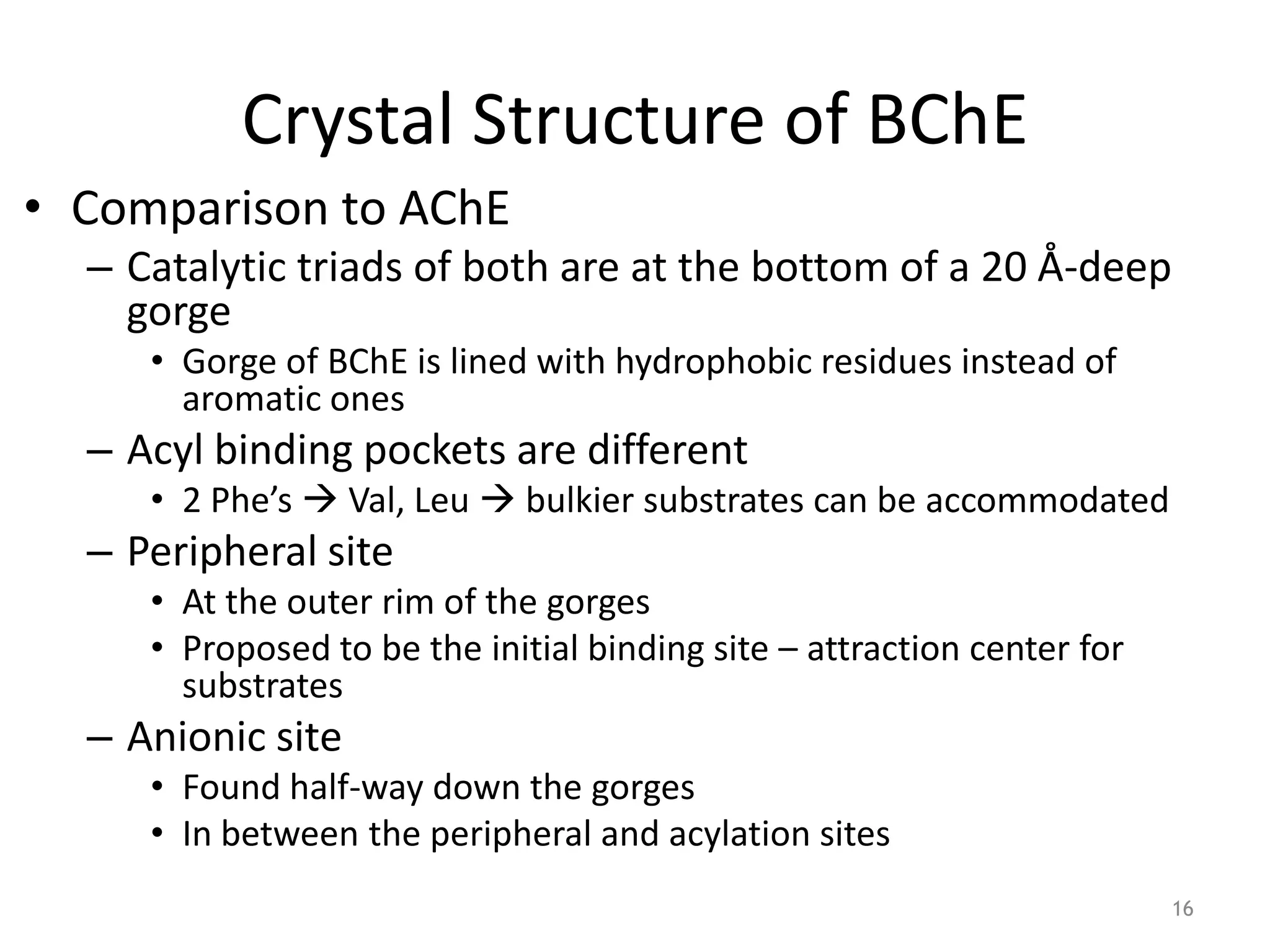 Butyrylcholinesterase Overview: Substrates Inhibitors Structure ...