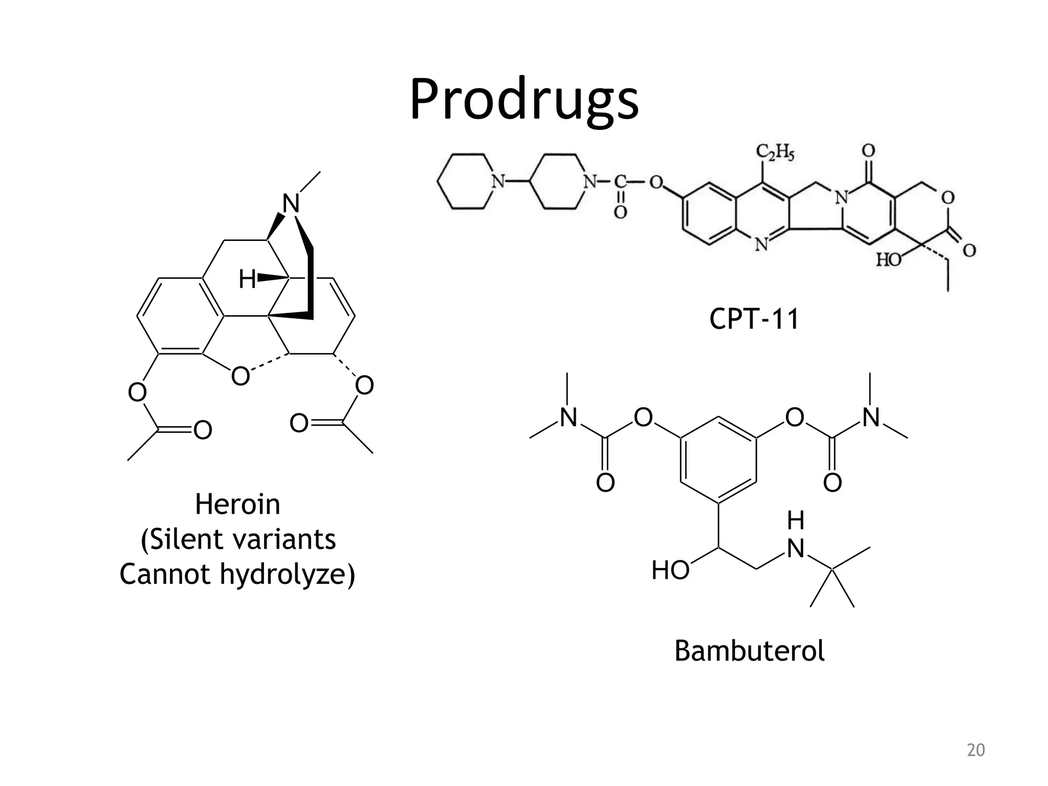 Butyrylcholinesterase Overview: Substrates Inhibitors Structure ...