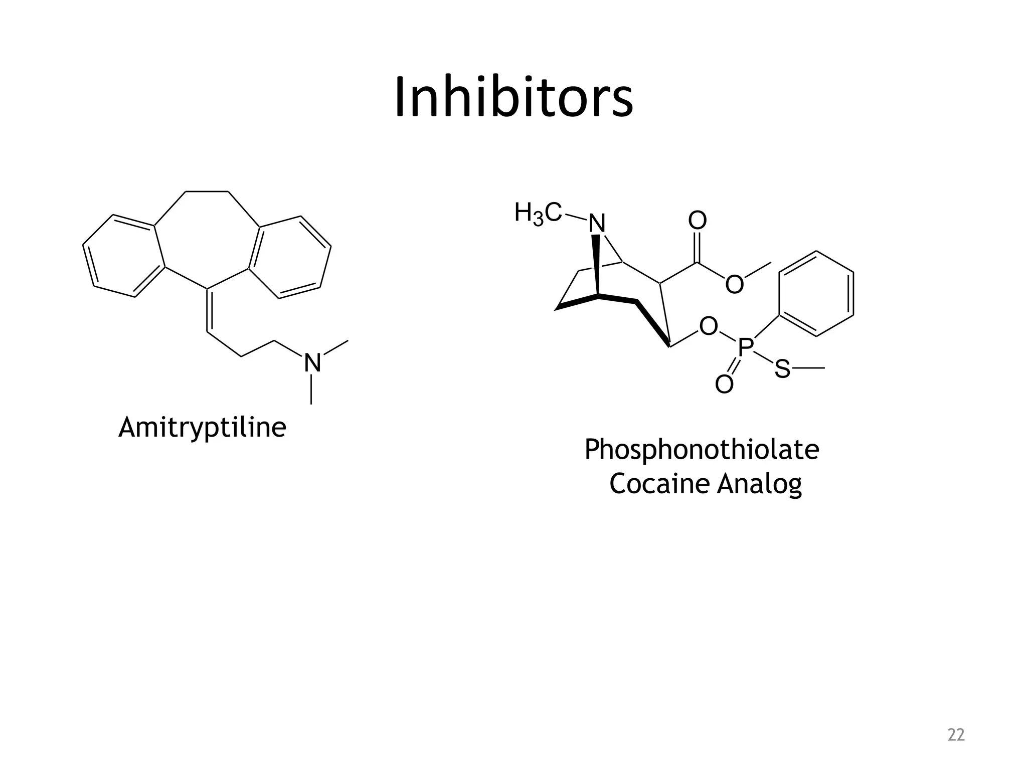 Butyrylcholinesterase Overview: Substrates Inhibitors Structure ...