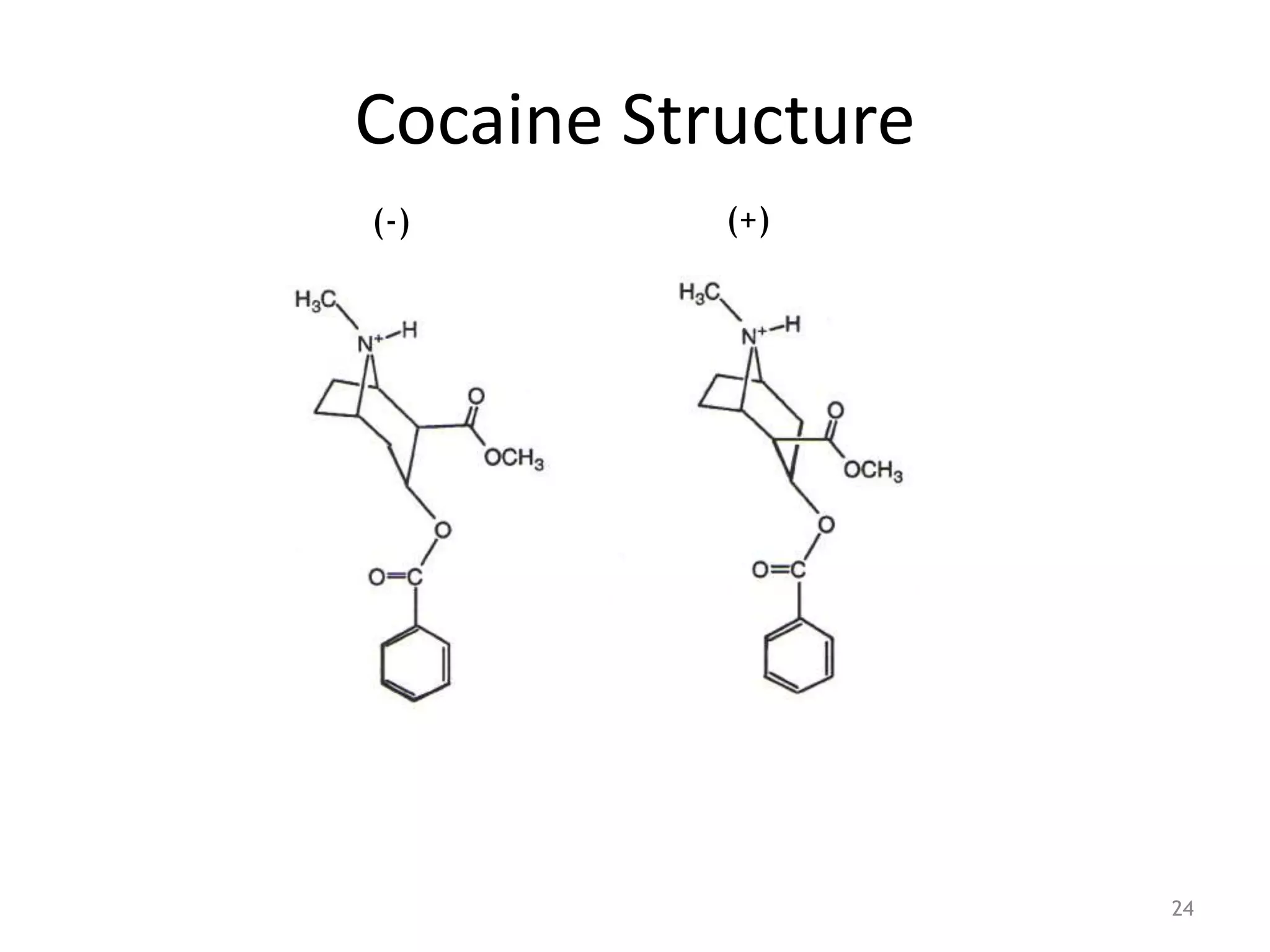 Butyrylcholinesterase Overview: Substrates Inhibitors Structure ...