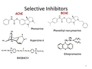Butyrylcholinesterase Overview: Substrates Inhibitors Structure ...