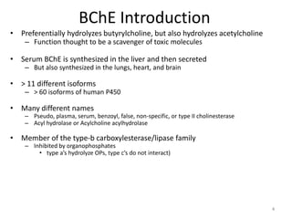 Butyrylcholinesterase Overview: Substrates Inhibitors Structure ...