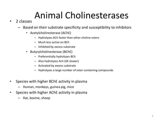 Butyrylcholinesterase Overview: Substrates Inhibitors Structure ...